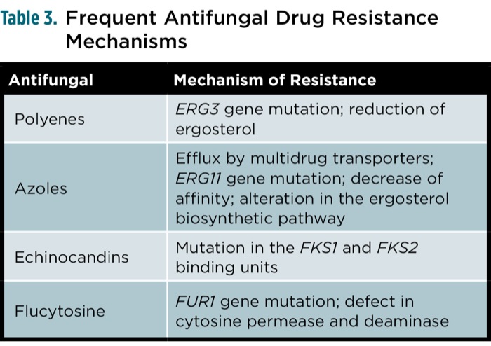 Resistance: The Emerging Reality of Antifungal Treatment