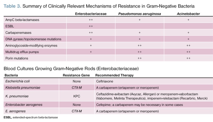 Antimicrobial Resistance in Perspective: Using New Technology To Help ...