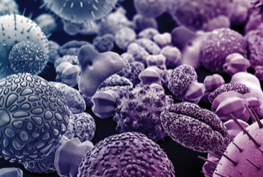 Antimicrobial Resistance in Perspective: Using New Technology To Help ...