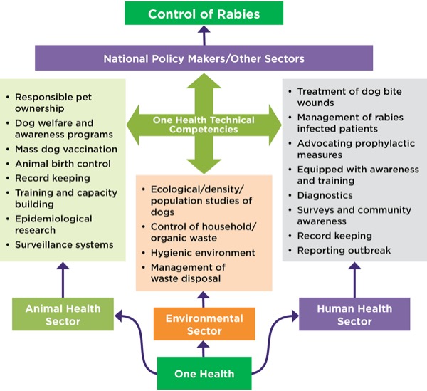 Toward Rabies Elimination: Barriers to the One Health Approach