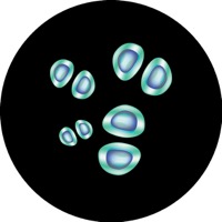 Rapid Diagnostic Tests Inform Better Diagnostic and Treatment Decisions