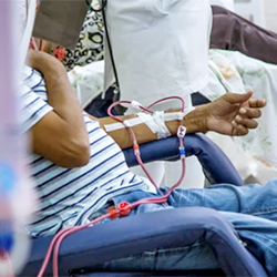 Infection In Dialysis Patients Infection Prevention And Control: The