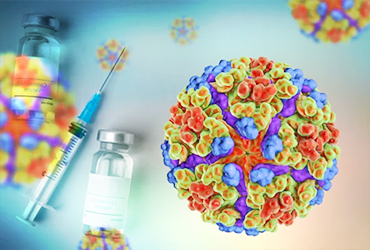 The FDA Approves Ixchiq Chikungunya Vaccine