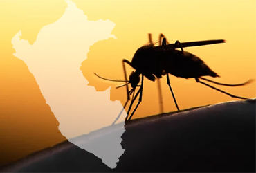 Defunding Malaria Prevention Peru