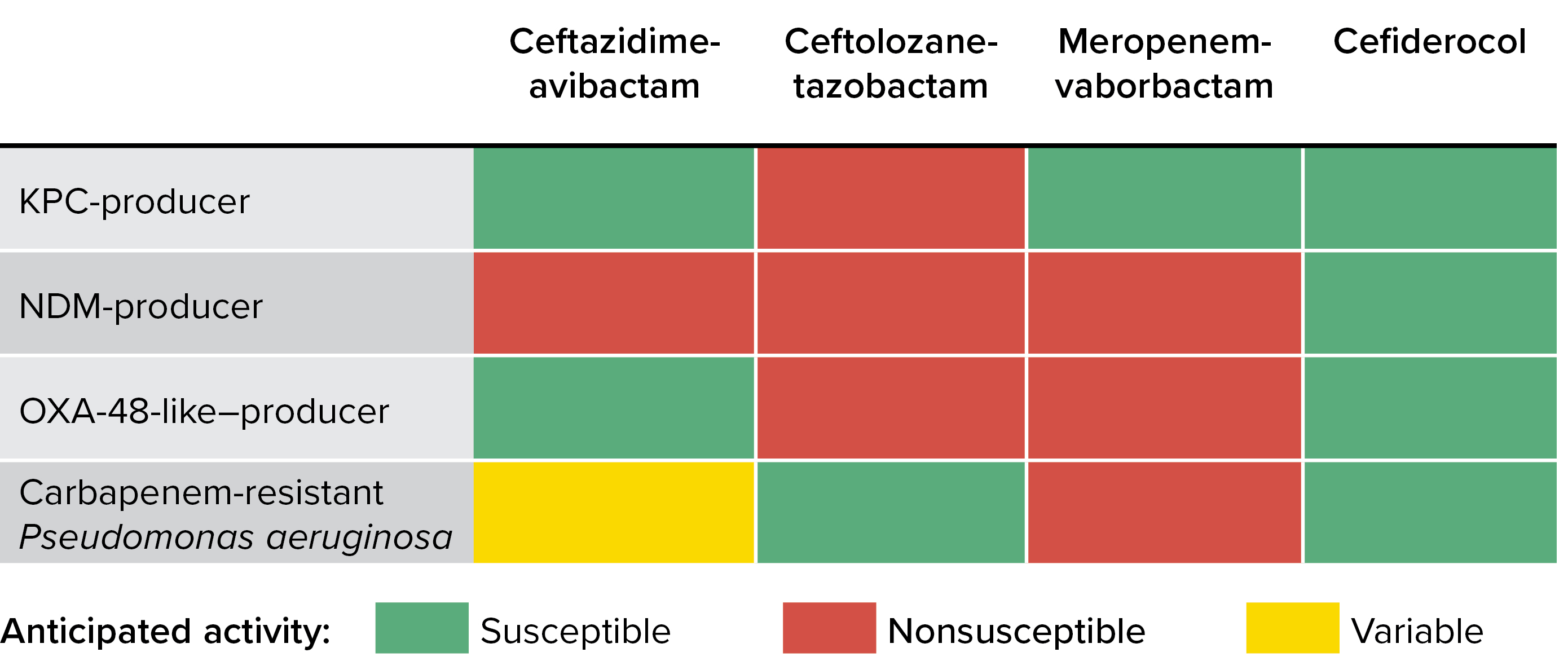 Resistant Gram-Negative Bacteria: Focus on the Real-World Use of Novel ...