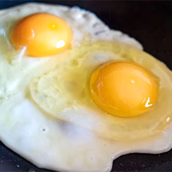65 People Sick After Eating Contaminated Eggs