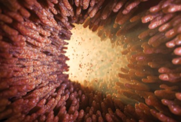 Colonization by C. diff Is Not Uncommon and Not Benign