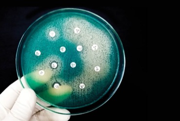 Antibiotic Combinations Against Pseudomonas Aeruginosa Zerbaxa Avycaz
