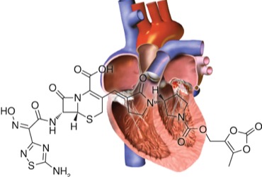 New Antibiotic Zevtera Added to Roster in Treating Right-Sided ...